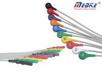 China Biomedical Instruments 10 Lead BI Ecg Holter Cable For BI-9000TL for sale