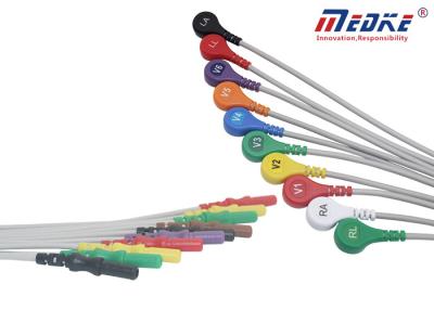 China Biomedical Instruments 10 Lead BI Ecg Holter Cable For BI-9000TL for sale