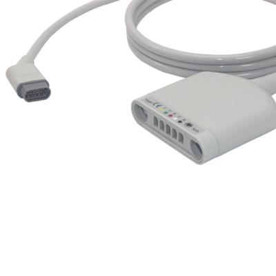 China Multi Function ECG Patient Cable G5136TR 16P To 5 Lead Compatible Drager Siemens for sale