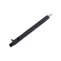China OEM Fuel Injector EJBR02601Z for  2.7 XDI for sale