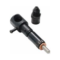 China Factory OEM Fuel Injector for 186FA 10HP Yanmar Diesel Engine for sale
