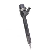 China OEM Fuel Injector 0445110162 for Dodge Freightliner Sprinter OM647 2.7-1 2004-2006 for sale