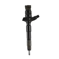 China Wholesale OEM 295900-0250 23670-30440 Fuel Injector for Toyota Hiace & Dyna for sale