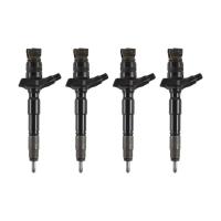 China Wholesale OEM 295900-0250 23670-30440 Fuel Injector for Toyota Hiace & Dyna for sale