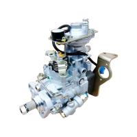 China Original And OEM Fuel Injection Pump 0460424376 T73208281 for Trucks for sale