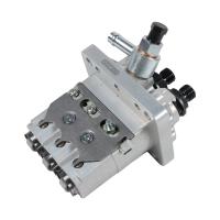 China New Fuel Injection Pump 30L65-01700 MM436649 for Engine L3E for sale