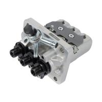 China New Fuel Injection Pump 30L65-01700 MM436649 for Engine L3E for sale