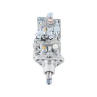 China High Quality Fuel Injection Pump 0460424316 504067495 for 4.4L Fiat 60KW NEF Engine for sale