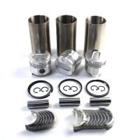 China Best Quality S3L S3L2 Engine Overhaul Rebuild Kit for Mitsubishi S3L2 S3L EB250 EB300 EB306 for sale