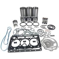 China OEM D1005 Engine Overhaul Rebuild Kit for  D1005 Engine for sale