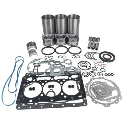 China OEM D1005 Engine Overhaul Rebuild Kit for  D1005 Engine for sale