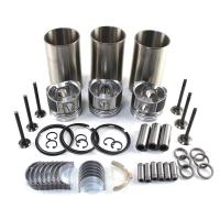China OEM 3TNA72 Engine Rebuild Kit for Yanmar Engine 430 455 755 670 Tractor for sale