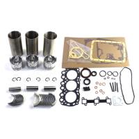 China Original OEM L3E L3E-61SDH 21mm Engine Overhaul Rebuild Kit for  EC15 for sale