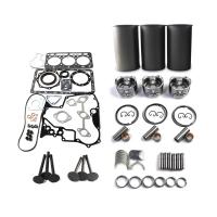 China Overhaul Rebuild Kit for D902 D902EBH Engine KX41-3 Excavator BX24 BX25 Tractors for sale
