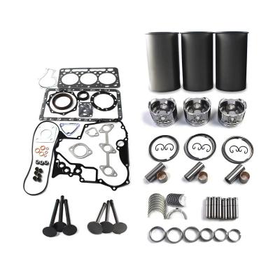 China Overhaul Rebuild Kit for D902 D902EBH Engine KX41-3 Excavator BX24 BX25 Tractors for sale