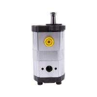 China OEM Hydraulic Pump 3661228M91 0510365315 for Ferguson Tractors 2225 2230 2235 for sale