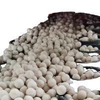 China Refractory Ceramic Balls The Key to Heat Transformation in Iron and Steel Industries for sale