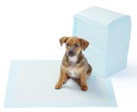 China Hydrophilic Non-woven Fabric Pet Pad With Instant Absorption And Odor Removal Function for sale