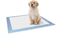 China Hydrophilic Non-woven Fabric Pet Pad With Instant Absorption And Odor Removal Function for sale