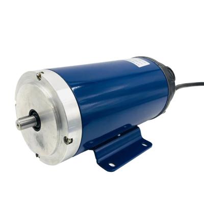 China Treadmill Motor DC High Torque 3000 RPM Zyt 220V 110V 24V Permanent Magnet Efficiency for sale