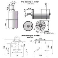 China 37mm Diameter Gearbox Large Torque Reduction Motor Durable for Long Time 12V 150rpm for sale