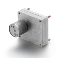China 28mm 24v 7.73W Silver GEAR MOTOR High Torque Brush Gear DC Motor for Customization for sale