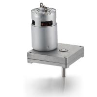 China Silver 42mm High Torque Square Spur Gear DC Motor 12V 24V 21.1W Brushed DC Gear Motor for sale