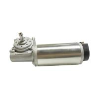 China High Torque 63mm Worm Gear Brushed DC Motor for Heavy-Duty Applications for sale