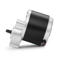 China 24V 250W/350W High Torque 101mm Gear DC Electric Motor Machine Essential for sale