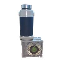 China 80mm 250W/300W High Torque Worm Gear Electric DC Motor 12V 24V for Right Angle Machine for sale