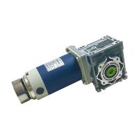 China 90mm Worm Gear DC Motor 250W 12V 24V D Shaft Type  50rpm YLP 80BL-154-3 for sale