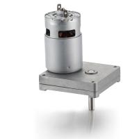 China 42mm 12V 24V Gear Motor Square Spur Gear Brushed DC Motor with High Torque for sale