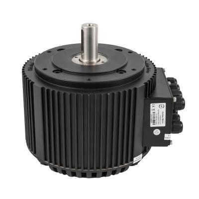China High Power 10kw-20kw 4000RPM BLDC Motor with Permanent Magnet Construction CE Approved for sale