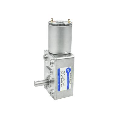 China High Torque Gear Material Pure Metal Self-lock Worm Gear Reduction Electric DC Motor for sale