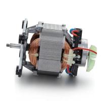 China Universal Motor Professional 110V 220V 50/60Hz AC Motor with 95mm Diameter and Low Noise for sale