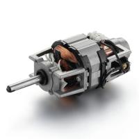 China 1KG DC Motors For Treadmill Automatic Doors Small Home Single-Phase Universal Motor for sale