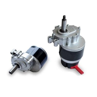 China Brush Design 250W MY1016Z Wheelchair Motor with Deceleration and Electromagnetic Brake for sale