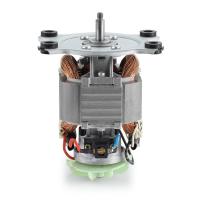 China 150kw Brushless DC Motor for Golf Car High Torque and Efficiency 24V Electric Motor for sale