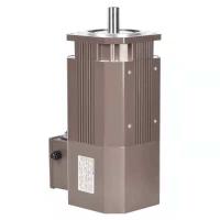China High Speed Brushless Motor for Electric Vehicles 23A Continuous Current 65% Efficiency for sale
