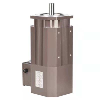 China High Speed Brushless Motor for Electric Vehicles 23A Continuous Current 65% Efficiency for sale