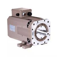 China High Speed Brushless Motor for Electric Vehicles 23A Continuous Current 65% Efficiency for sale