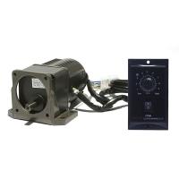 China Low Rpm Electric Variable Speed Control Gear Motor with High Torque and Brush Motor for sale