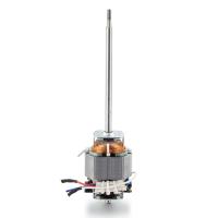 China High Torque 110v 220v 100w 200w 300w AC Electric Motor for Treadmill Machine 10000rpm for sale