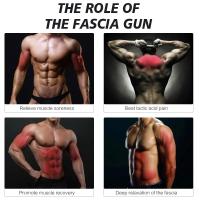 China 495g Professional Electric Fascia Gun for Deep Tissue Massage and Muscle Relaxation for sale