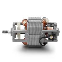China Efficiency IE 1 76mm 110w 180w 12000rpm 220v AC Electric Motor for Universal Treadmill for sale