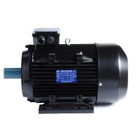 China 3 Phase Induction Motor Insulation Class F 2KG for Popular Washing Machine Water Pump for sale