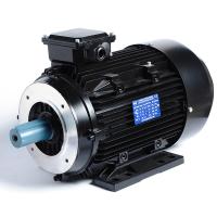 China 3 Phase Induction Motor Insulation Class F 2KG for Popular Washing Machine Water Pump for sale