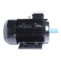 China 3 Phase Induction Motor Insulation Class F 2KG for Popular Washing Machine Water Pump for sale