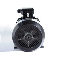China 3 Phase Induction Motor Insulation Class F 2KG for Popular Washing Machine Water Pump for sale