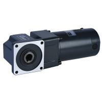 China Waterproof High Power Brushless DC Worm Gear Motor for Home Appliance Automatic Door for sale